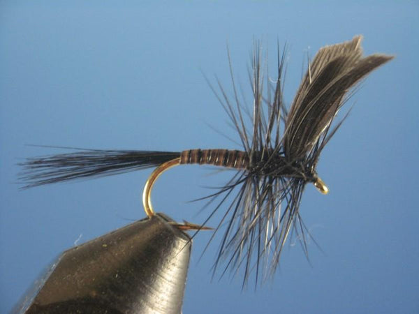 black-quill-trout-fly-flies-the-trout-spot_600x.jpg?v=1560869092