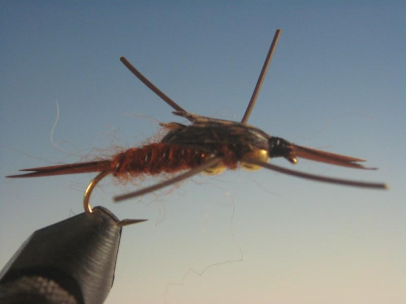 Double Bead Kaufmann Stone Fly Brown Rubber Legs
