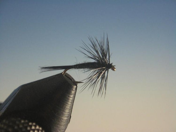 midge-black-dry-flies-the-trout-spot_600x.jpeg?v=1560873523