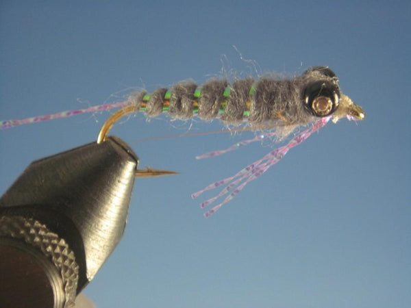 mysis-shrimp-grey-flies-the-trout-spot_600x.jpg?v=1579829475