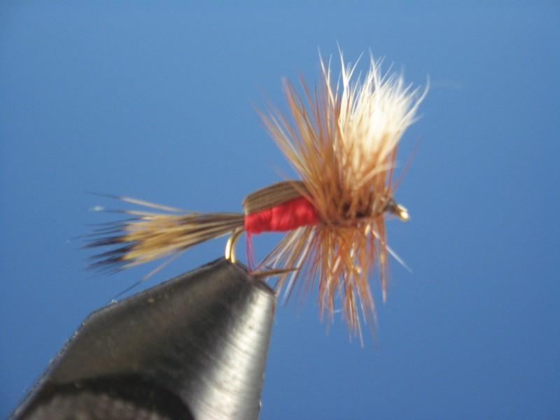 Royal Red Humpy | The Trout Spot